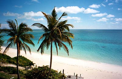 Ferry Miami Bimini - Les Meilleures Offres - AFerry